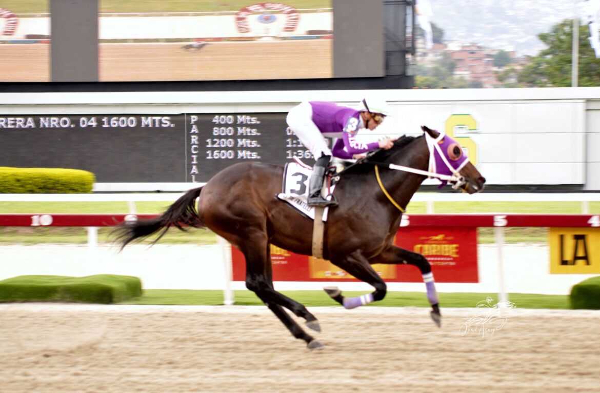Li Tre Fratelli con Irad Ortiz Jr. ganó el Clásico Comparación - Zona ...