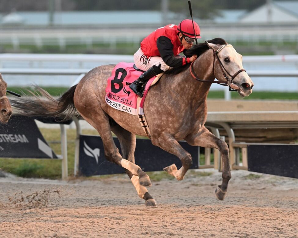 Rocket Can con mucha actitud ganó el Holy Bull Stakes - Zona Hipica
