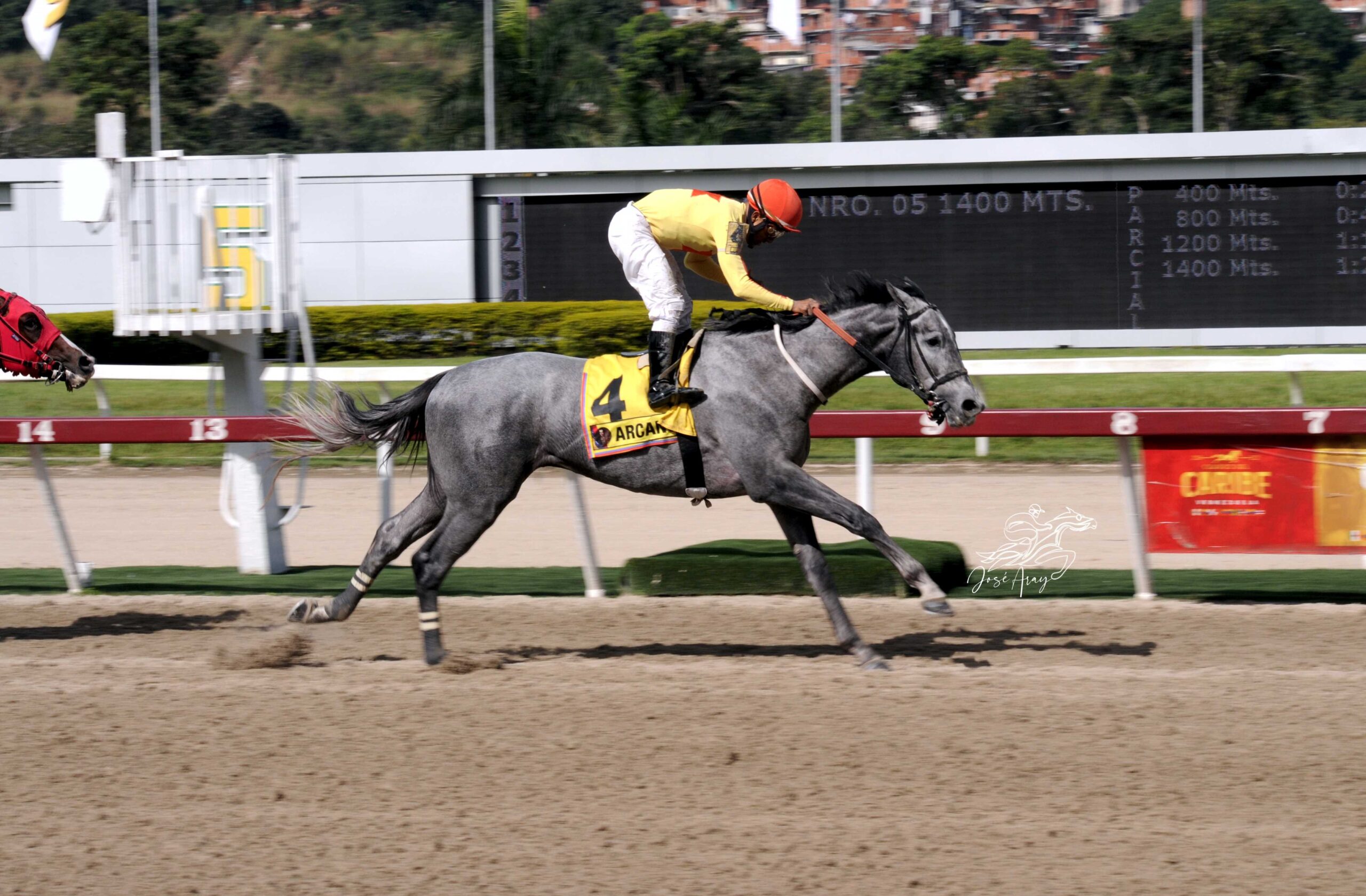 Arcano los arrolló en el Clásico Antonio José de Sucre - Zona Hipica