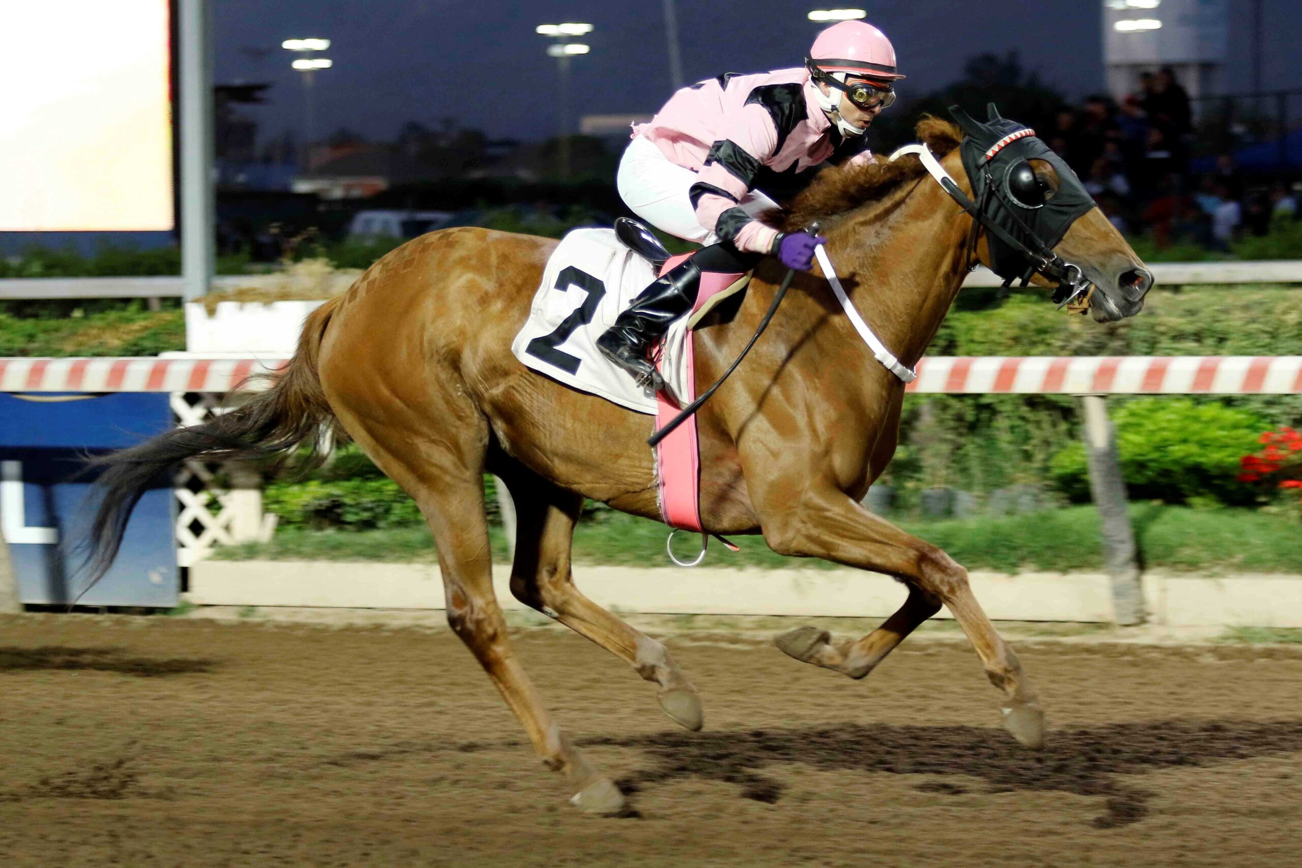 Negra Loca dominó a los machos para ganar el Clásico Mocito Guapo ...