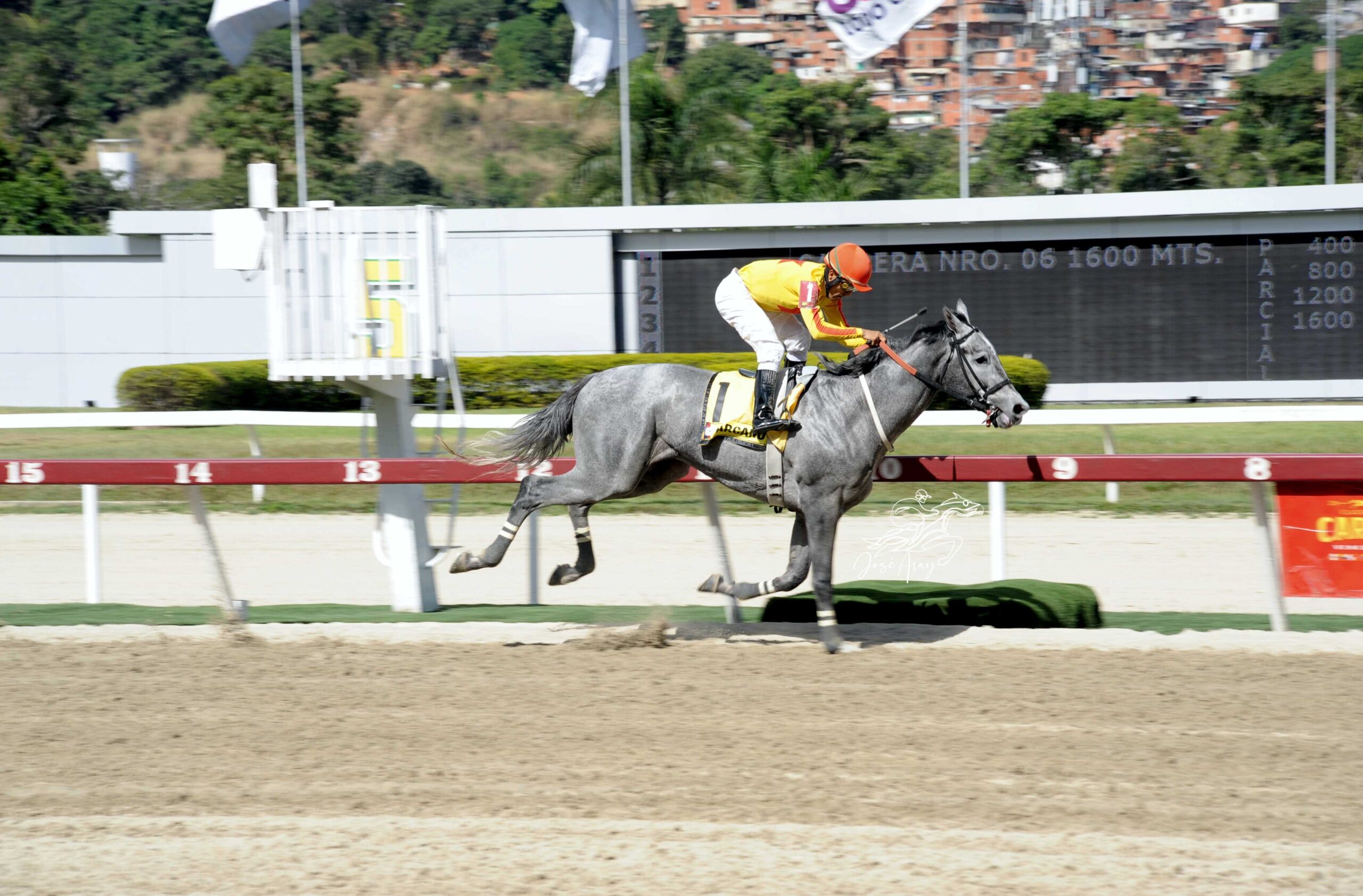 Arcano de menos a más ganó el Clásico Comparación - Zona Hipica
