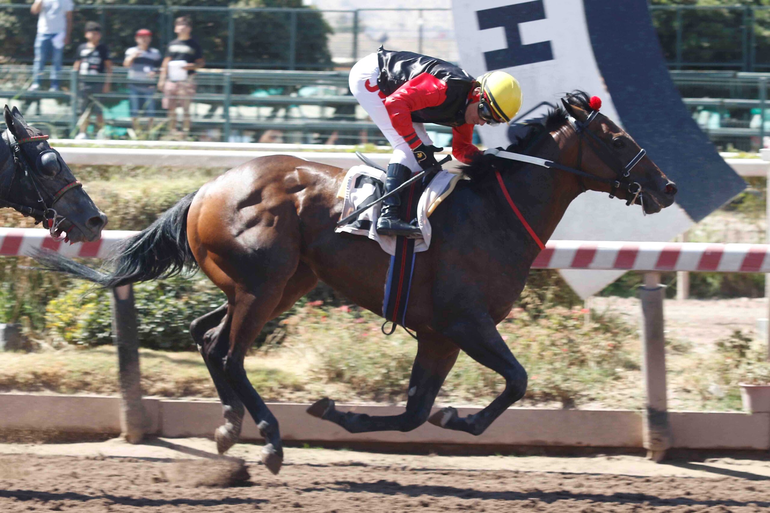 Mi General hizo todo bien para ganar el Clásico Selección de Potrillos ...