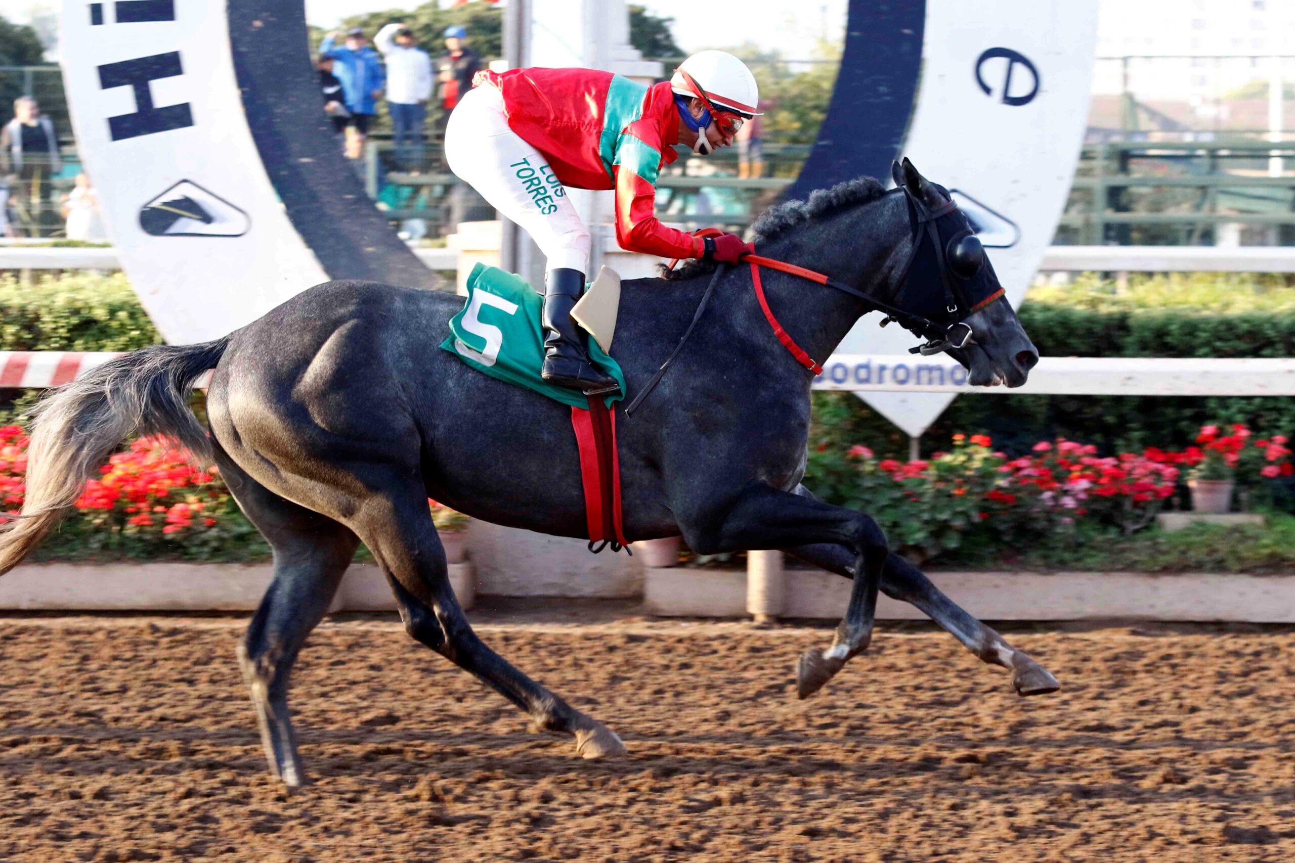 Ga Mo Tak los doblegó fácil para ganar el Clásico Víctor Matetic ...